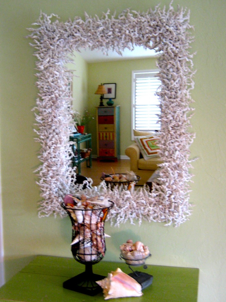 Worm Shells at Casa Ybel | I Love Shelling