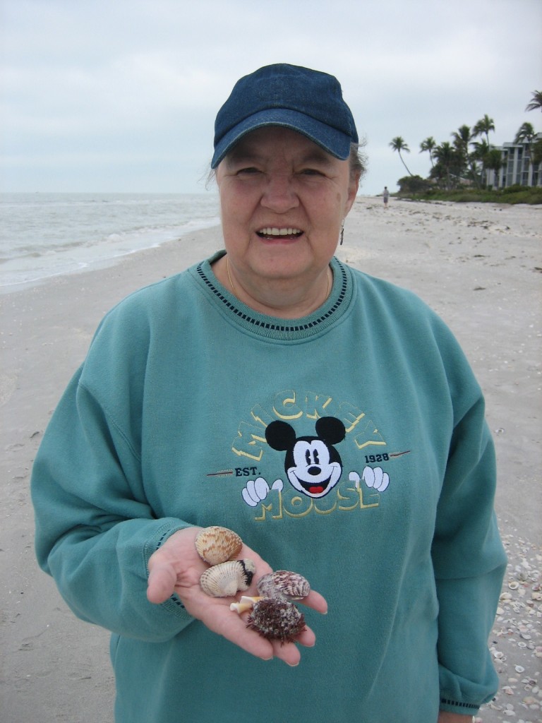 Worm Shells at Casa Ybel | I Love Shelling