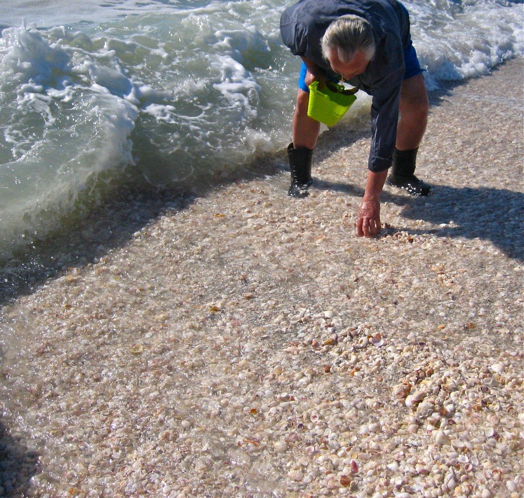 Ready. Set. Get Shelling! | I Love Shelling