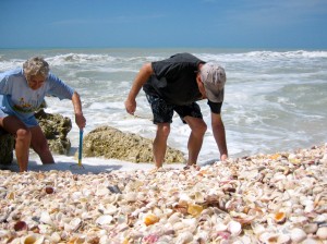 Big Day for Shellers | I Love Shelling