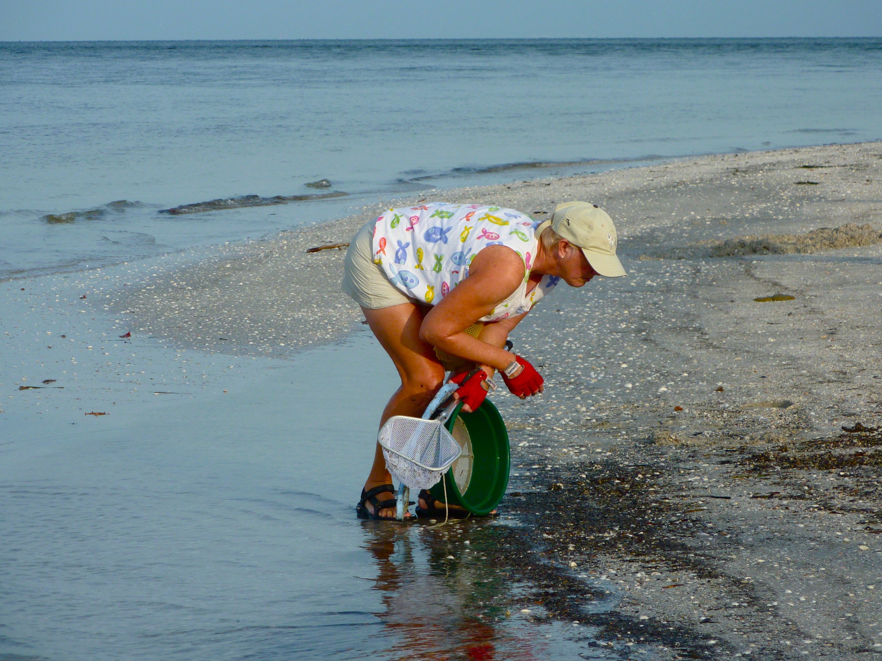 Shell Crafters Shelling | I Love Shelling
