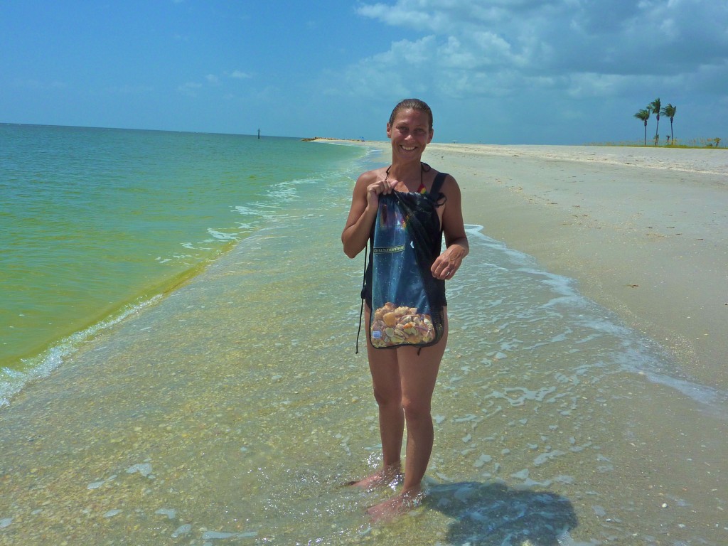 Shelling on South Seas Island Resort | I Love Shelling