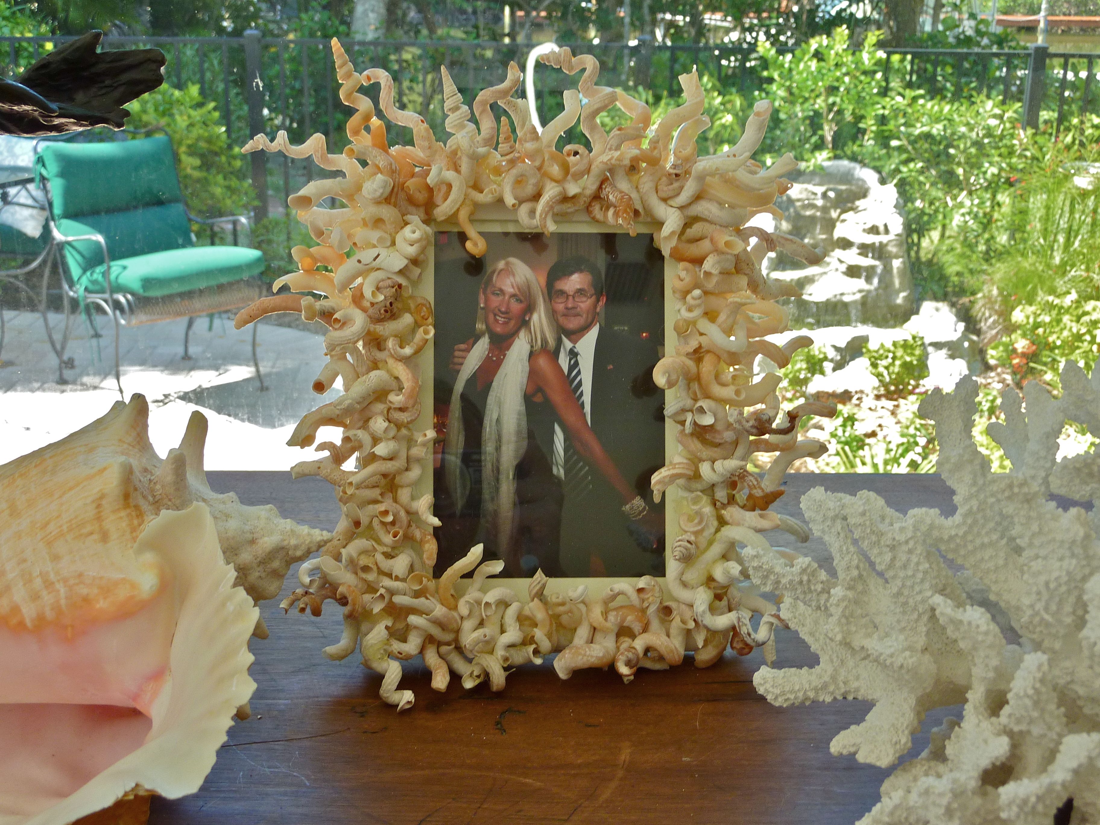 Jane’s Seashell Frames and More | I Love Shelling
