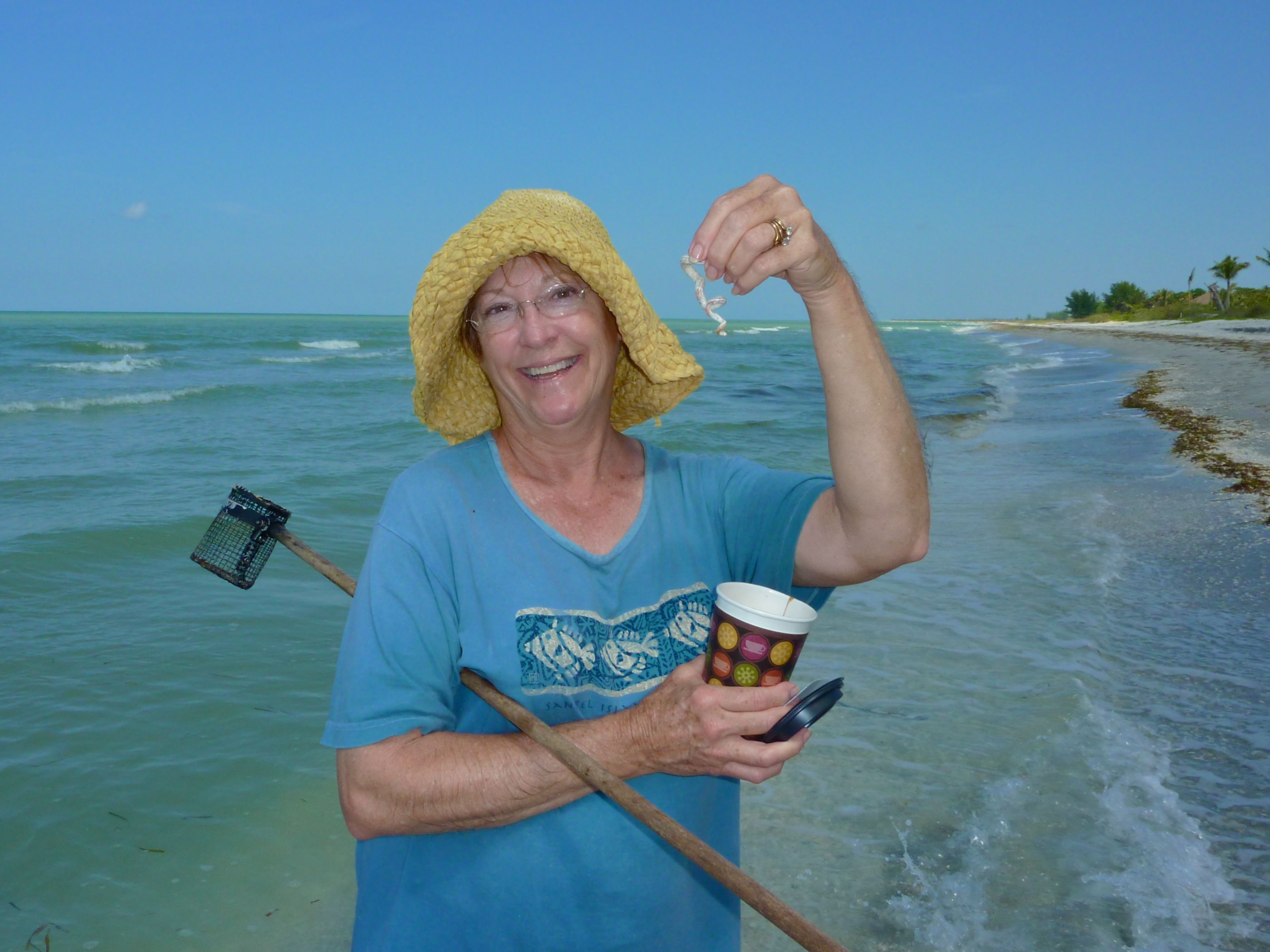 Jenny Curl Worm Shells | I Love Shelling