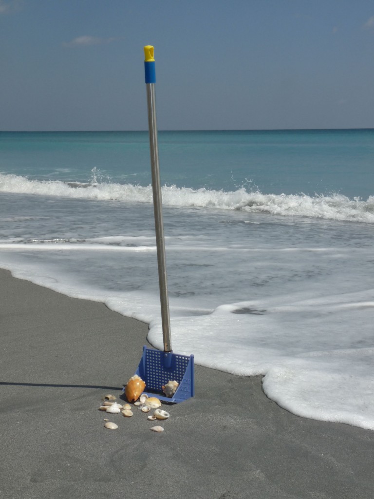 Seashell Sifter Scoop