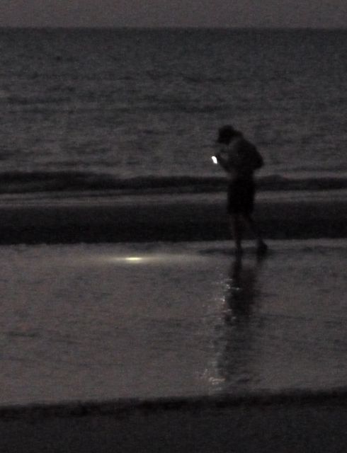 Sunrise Shell Seekers on Sanibel | I Love Shelling