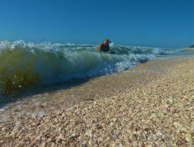 Let The Shelling Season Begin! | I Love Shelling