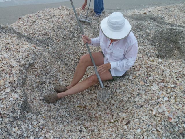 Shell Mound Excavation | I Love Shelling