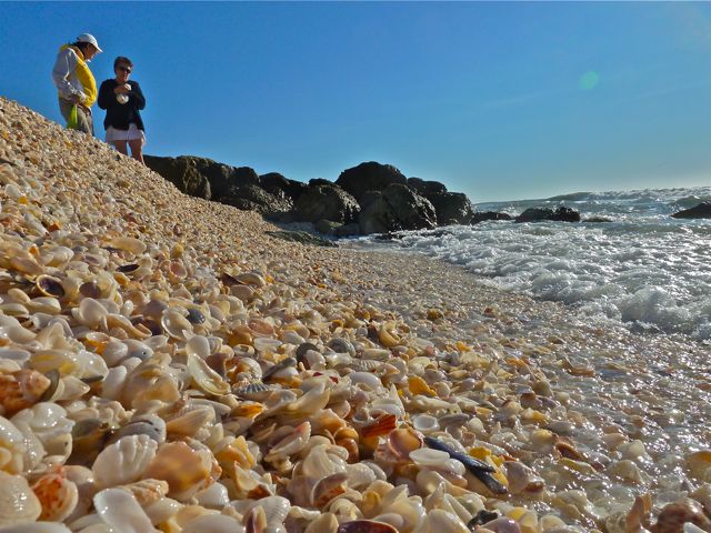 2010 Top 10 i Love Shelling Posts | I Love Shelling