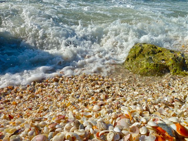 On Top Of Shell Mountain Video | I Love Shelling