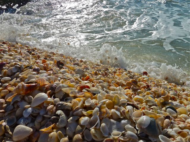 On Top Of Shell Mountain Video | I Love Shelling