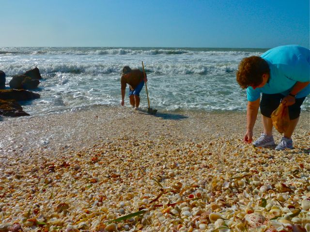 Let The Shelling Season Begin! | I Love Shelling