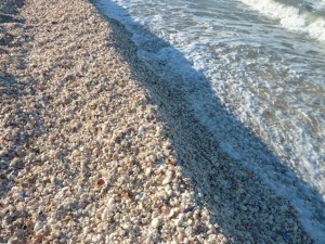 On Top Of Shell Mountain Video | I Love Shelling