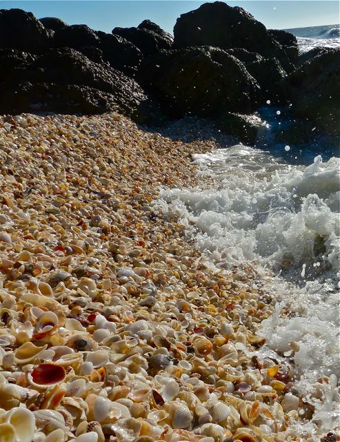 On Top Of Shell Mountain Video | I Love Shelling