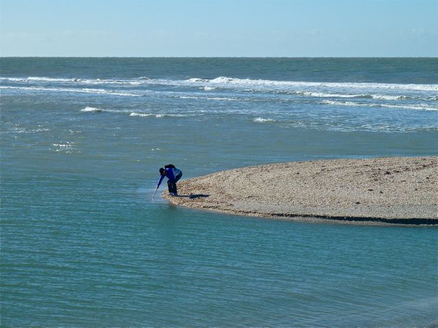 Shelling Night And Day | I Love Shelling