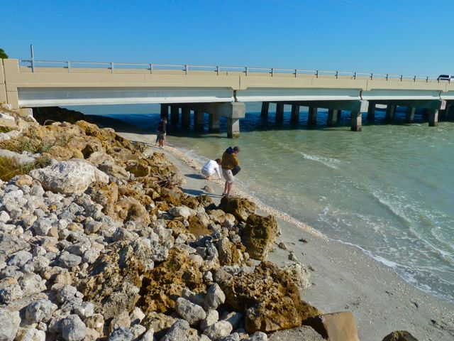 How To Drill Holes In Sea Shells | I Love Shelling