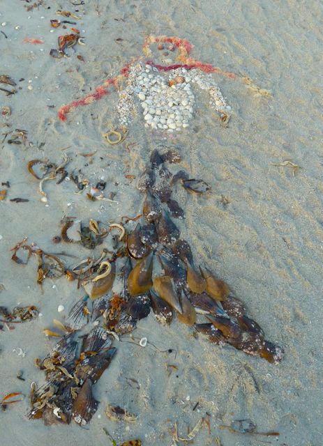 Pen Shell Art | I Love Shelling