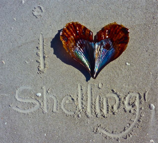 I Found A Half Naked Shell | I Love Shelling