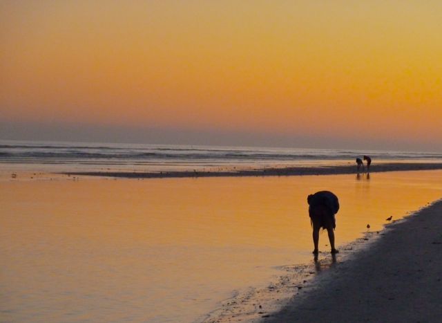 Sanibel Stoop Scenes | I Love Shelling
