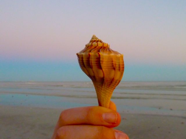 Sanibel Stoop Scenes | I Love Shelling