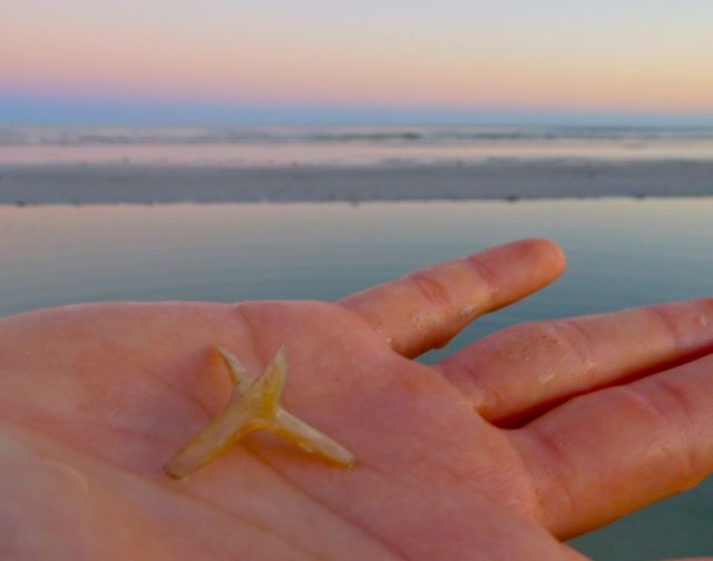 Sanibel Stoop Scenes | I Love Shelling