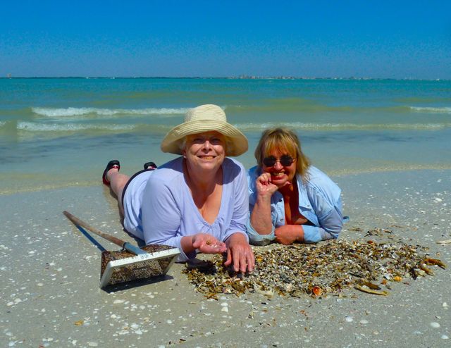 Smiles For Seashells | I Love Shelling