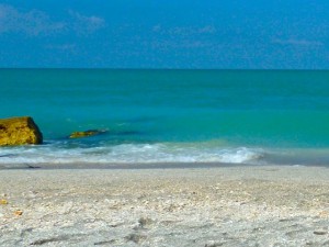 Life Is A Beach | I Love Shelling