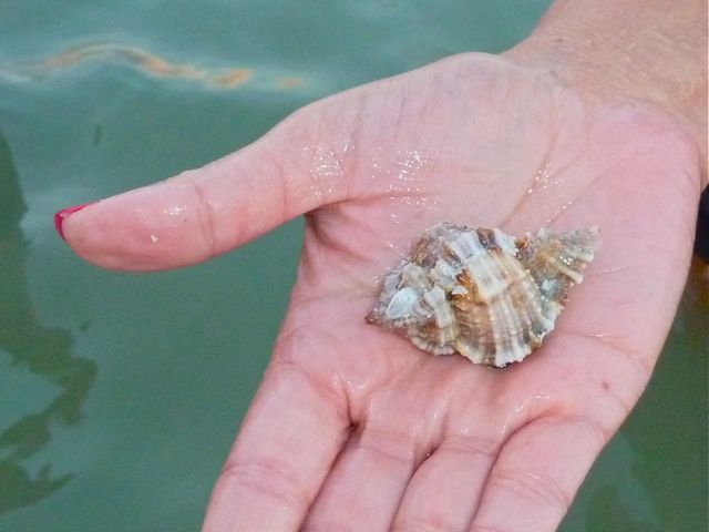 Low Tide Sanibel Skies | I Love Shelling