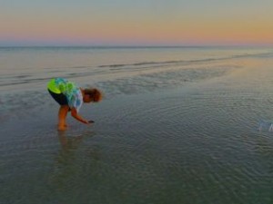 The Sanibel Captiva Shell Report | I Love Shelling