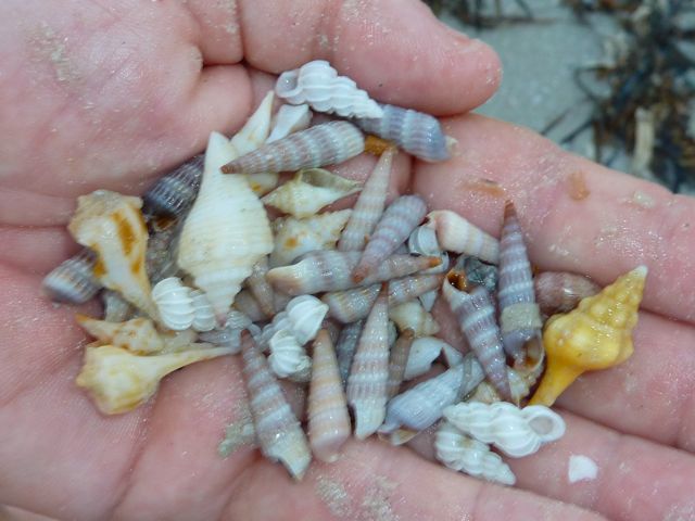 Low Tide Sanibel Skies | I Love Shelling