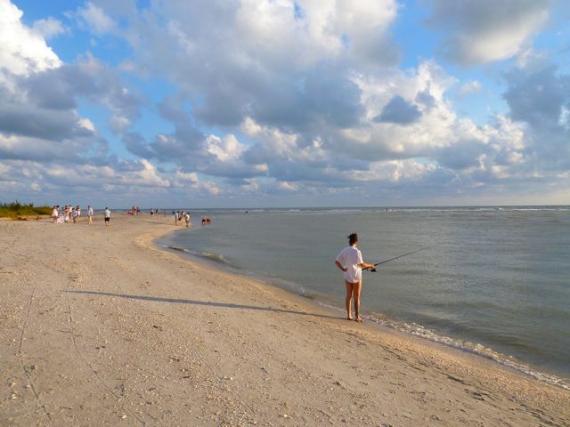 Full Moon Unveils A Moon Shell | I Love Shelling