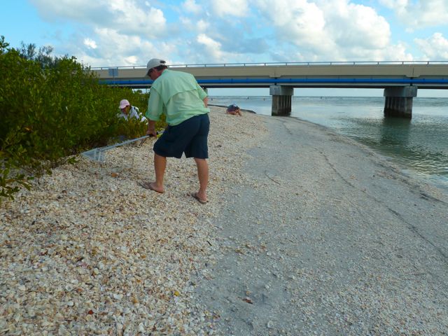 Full Moon Unveils A Moon Shell | I Love Shelling