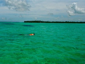 Road Trip For Seashells In The Florida Keys | I Love Shelling