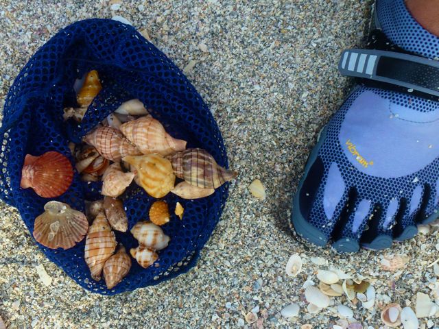 Beach Day Essentials To Fun Videos By YOU | I Love Shelling