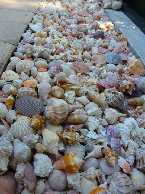 Tips For Decorating Your Yard With Seashells | I Love Shelling