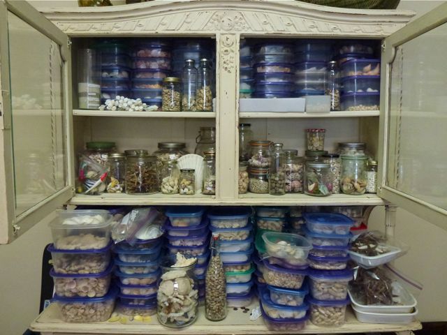 Tips For Decorating Your Yard With Seashells | I Love Shelling