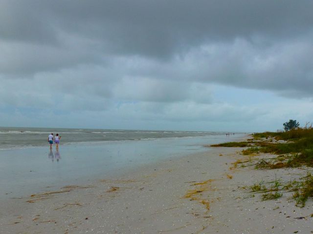 Sanibel Beach Bling After The Storm | I Love Shelling