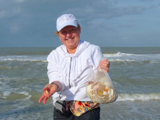 When The Seashells Come Rolling In | I Love Shelling