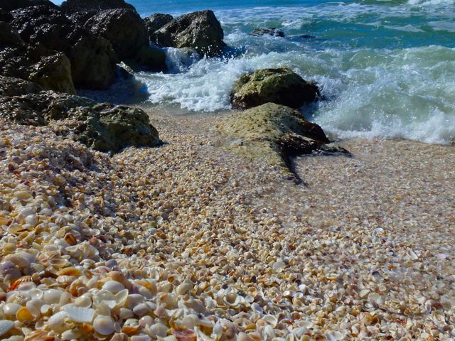 Captiva Rocks With Shells | I Love Shelling