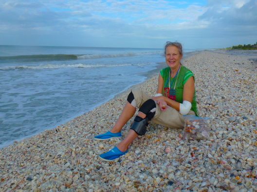 Sorting Seashells For The Holidays | I Love Shelling