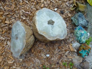 Boxes and Boxes of Sanibel Seashells | I Love Shelling
