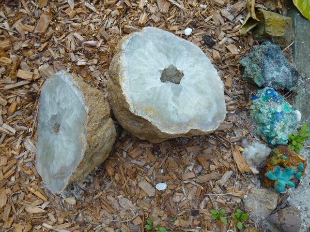 Boxes and Boxes of Sanibel Seashells | I Love Shelling