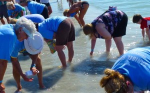 World Record Sanibel Stoop Scoop | I Love Shelling