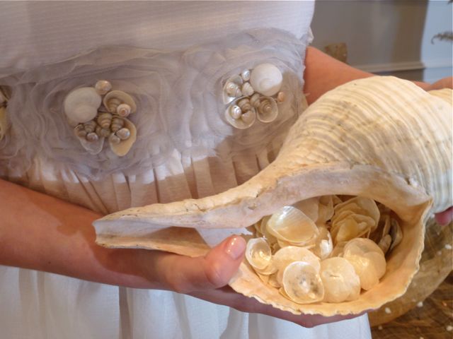 Shellabrating Seashells In Fashion | I Love Shelling