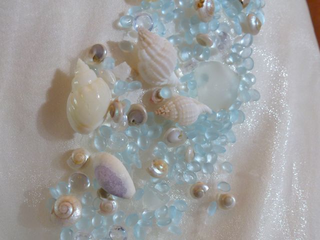 Shellabrating Seashells In Fashion | I Love Shelling