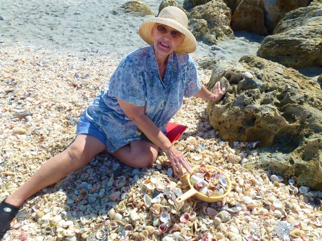 Seashells Sighting While Fish Are Biting | I Love Shelling