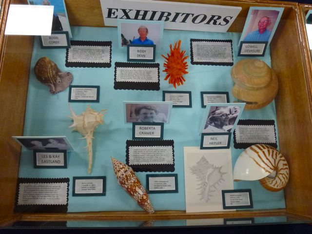 2012 Sanibel Shell Fair and Show Scientific Division | I Love Shelling