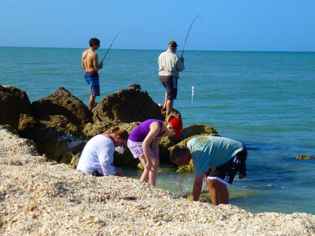 Seashells Sighting While Fish Are Biting | I Love Shelling