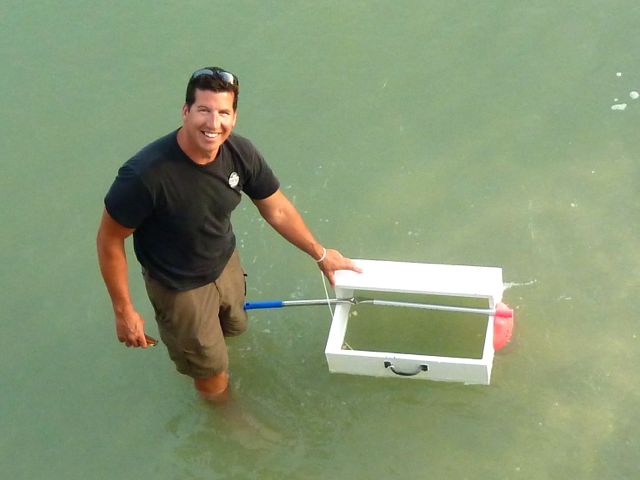 The Seashell Viewing Box | I Love Shelling