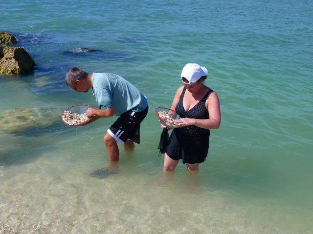 Seashells Sighting While Fish Are Biting | I Love Shelling